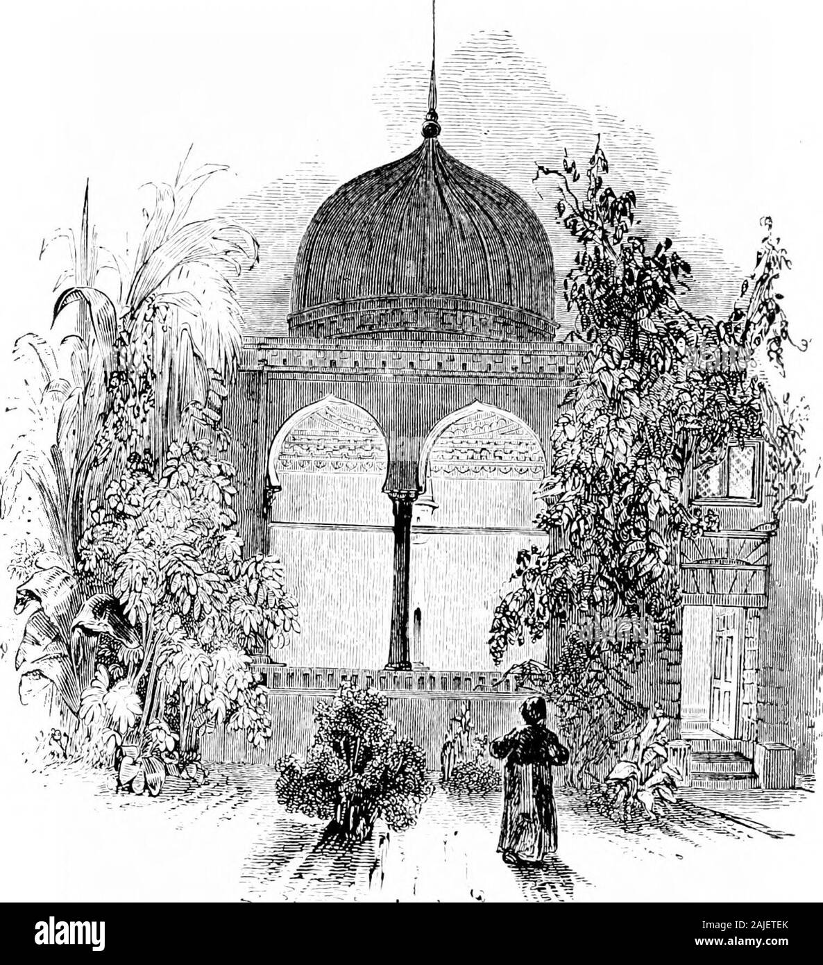 Arabian damsel Cut Out Stock Images & Pictures - Alamy