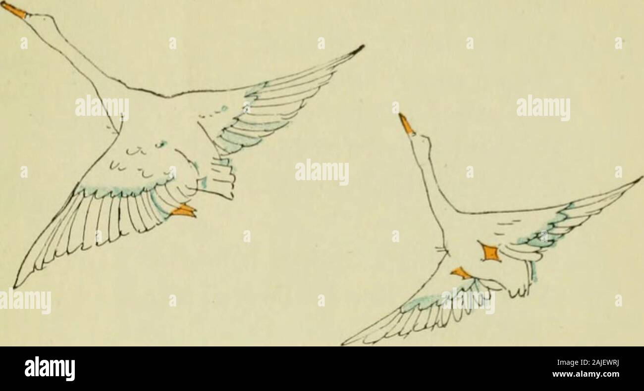 Nursery rhymes reading hi-res stock photography and images - Alamy