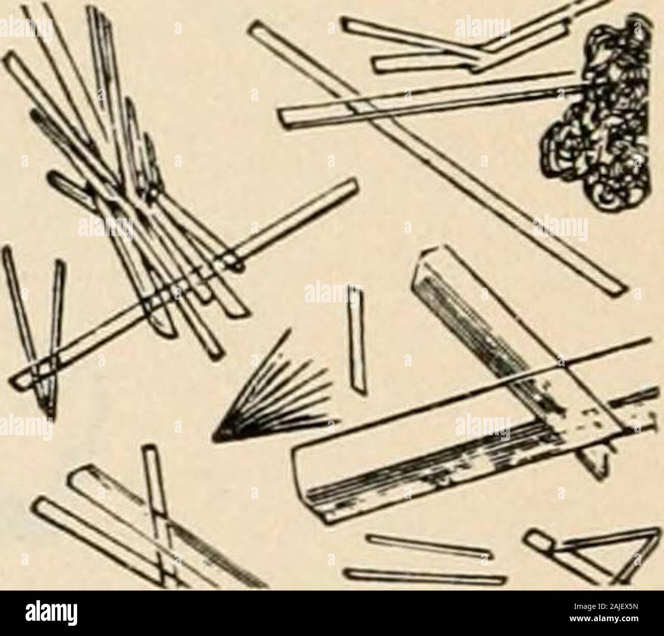 Pathologic High Resolution Stock Photography and Images - Alamy