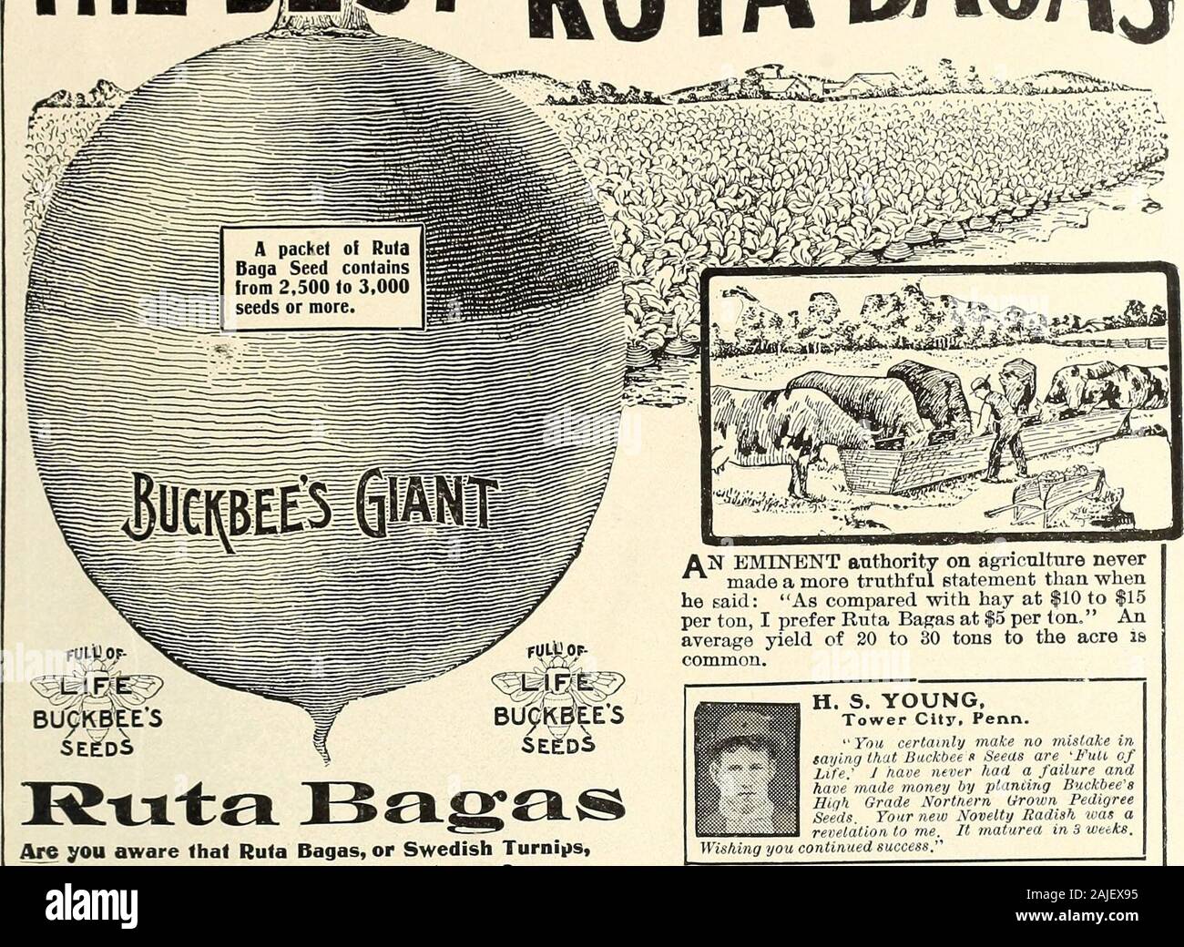 Ruta 63 hi-res stock photography and images - Alamy