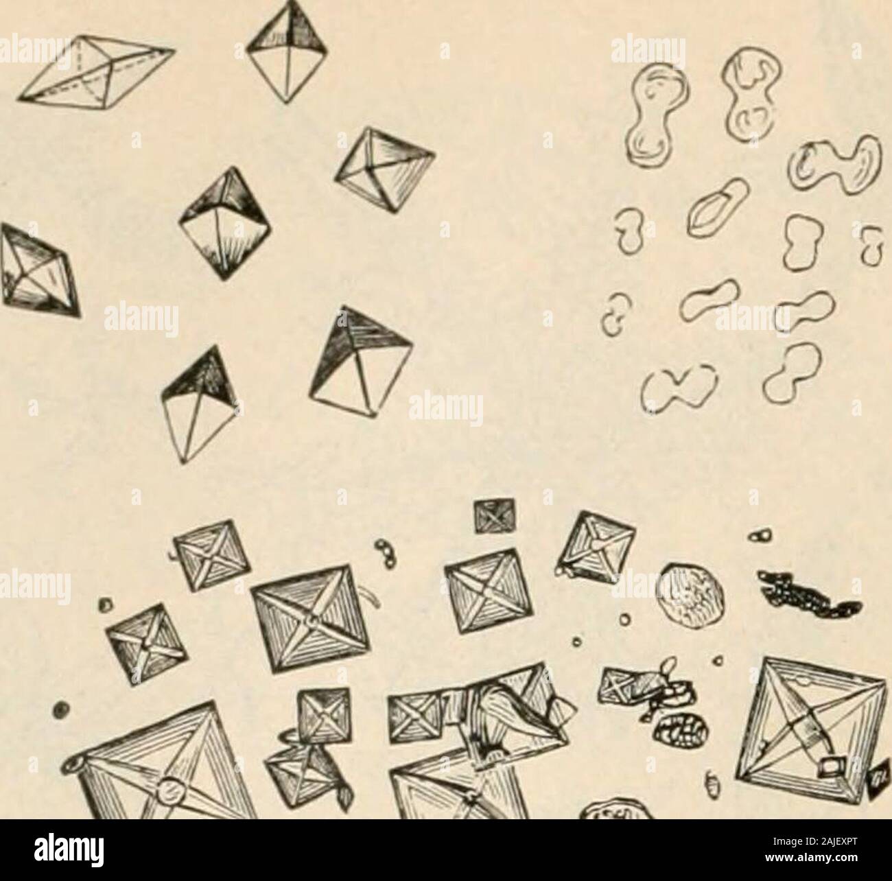 Manual of pathology : including bacteriology, the technic of ...