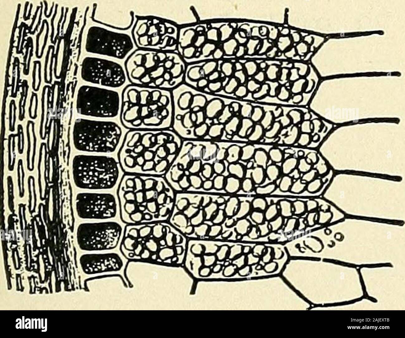 Soluble insoluble solution hi-res stock photography and images - Alamy