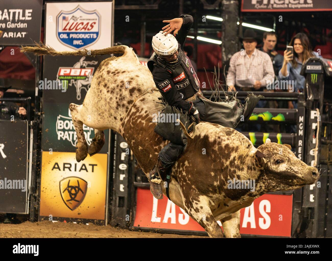 New York, NY - January 3, 2020: Gay Cage rides bull during first round ...