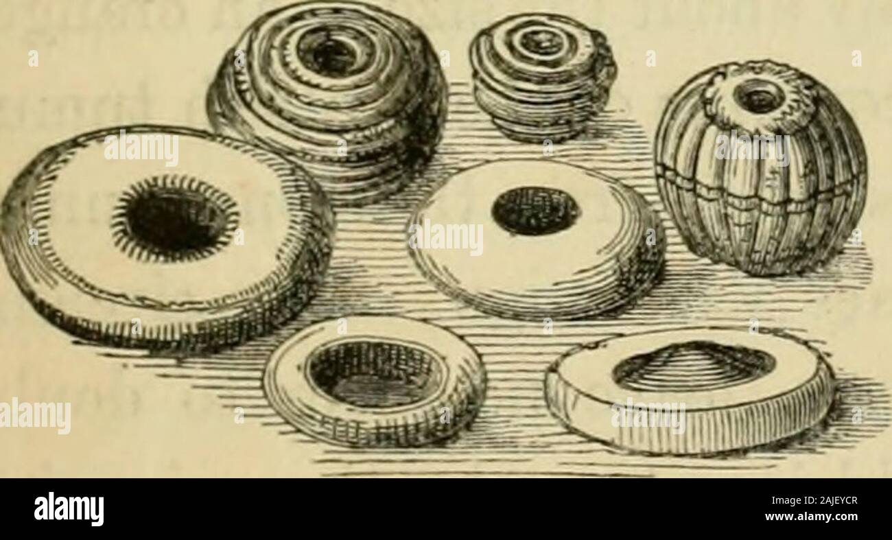 Whorle hi-res stock photography and images - Alamy