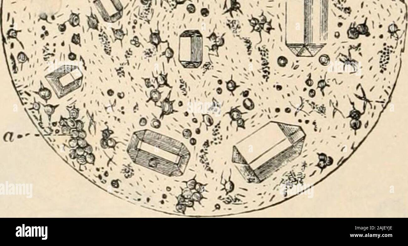 Manual of pathology : including bacteriology, the technic of ...