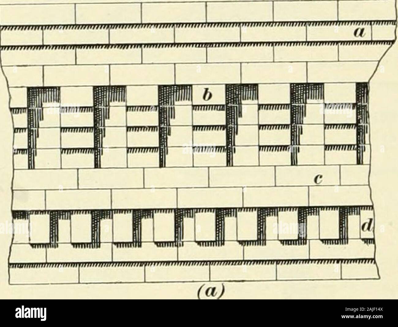 A treatise on architecture and building construction . hownin elevation ...