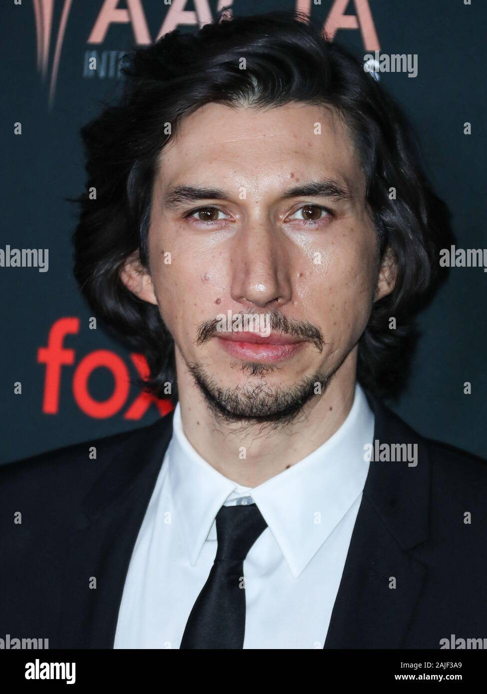 WEST HOLLYWOOD, LOS ANGELES, CALIFORNIA, USA - JANUARY 03: Actor Adam ...