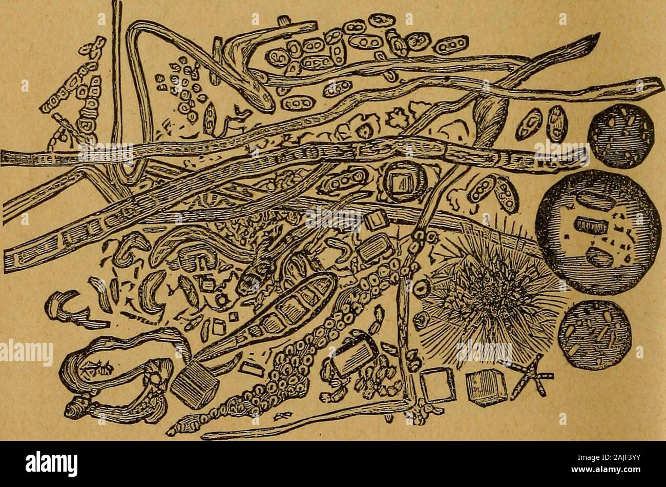 The art of testing and distinguishing between genuine and bogus butter ...