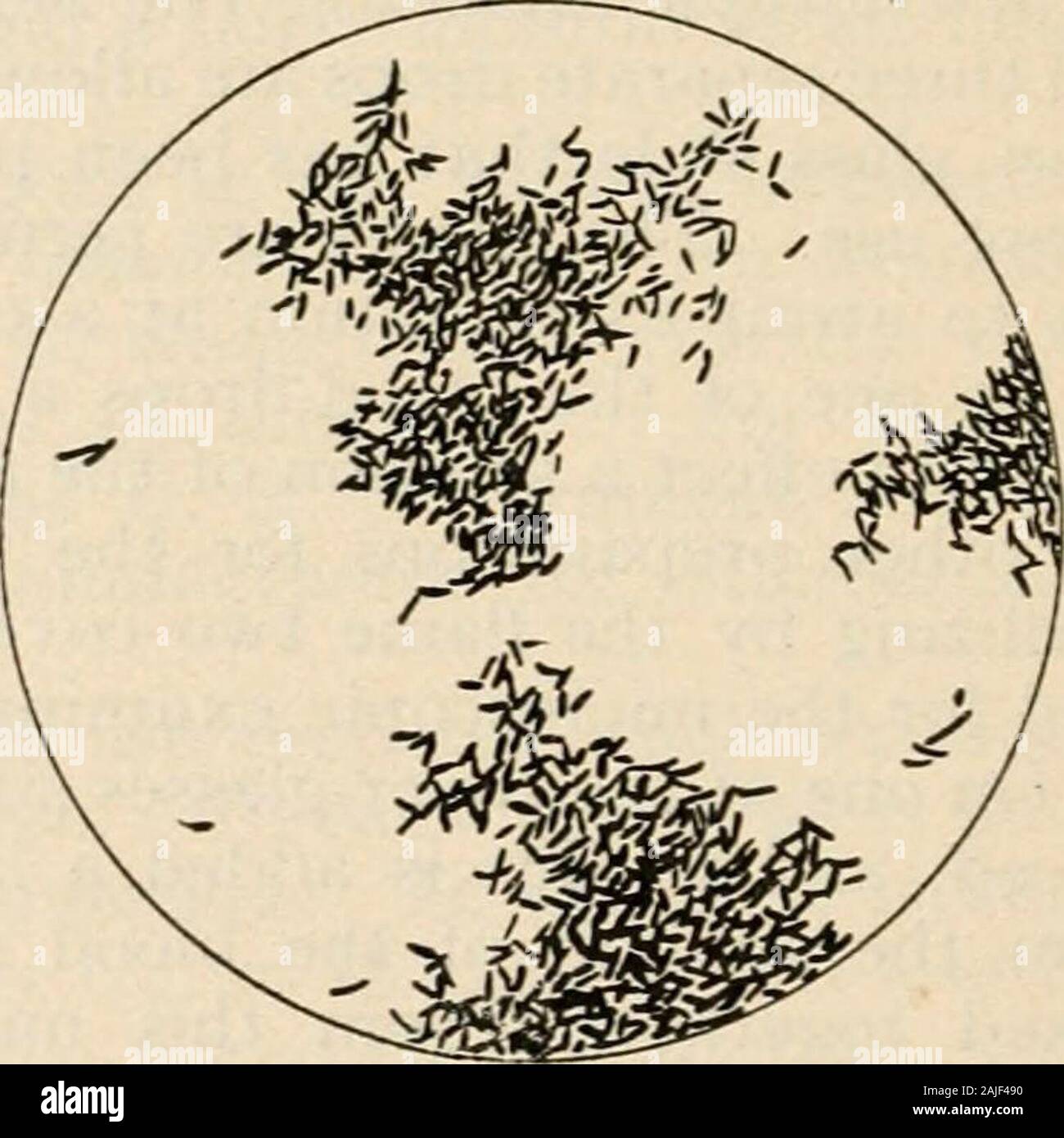 Motility test tube hi-res stock photography and images - Alamy