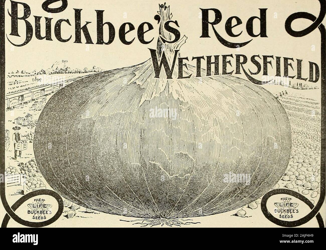 H.W Buckbee seed and plant guide : 1905 . Write for Special Prices on ...
