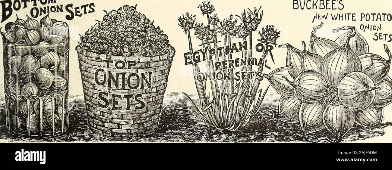 1905 prices hi-res stock photography and images - Alamy