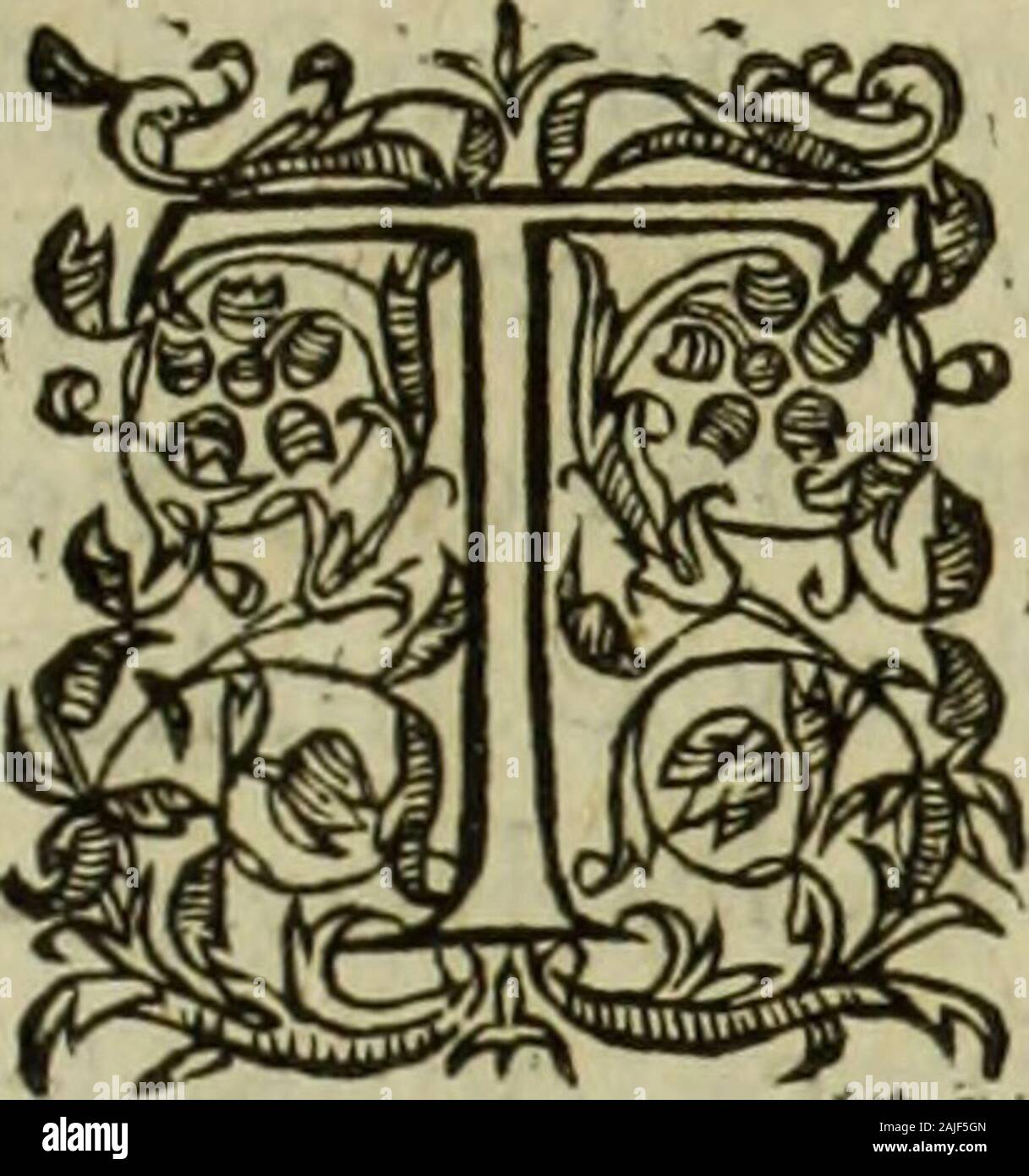 Le croissement hi-res stock photography and images - Alamy