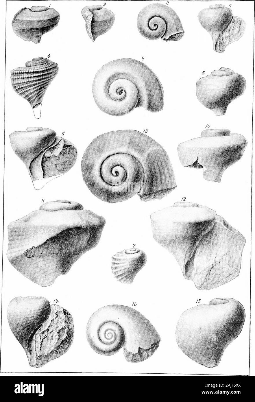 Mummit Black and White Stock Photos & Images - Alamy