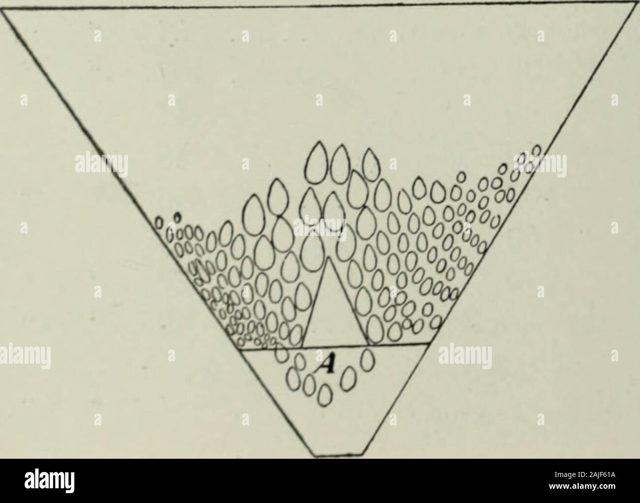 Device for emptying hi-res stock photography and images - Alamy