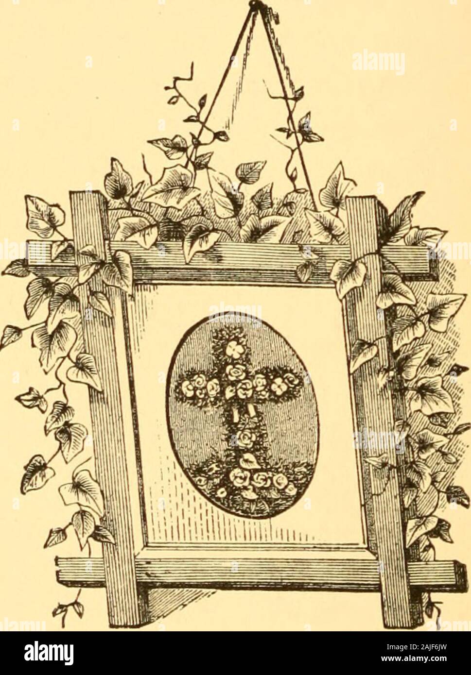 Carbuncles hi-res stock photography and images - Alamy