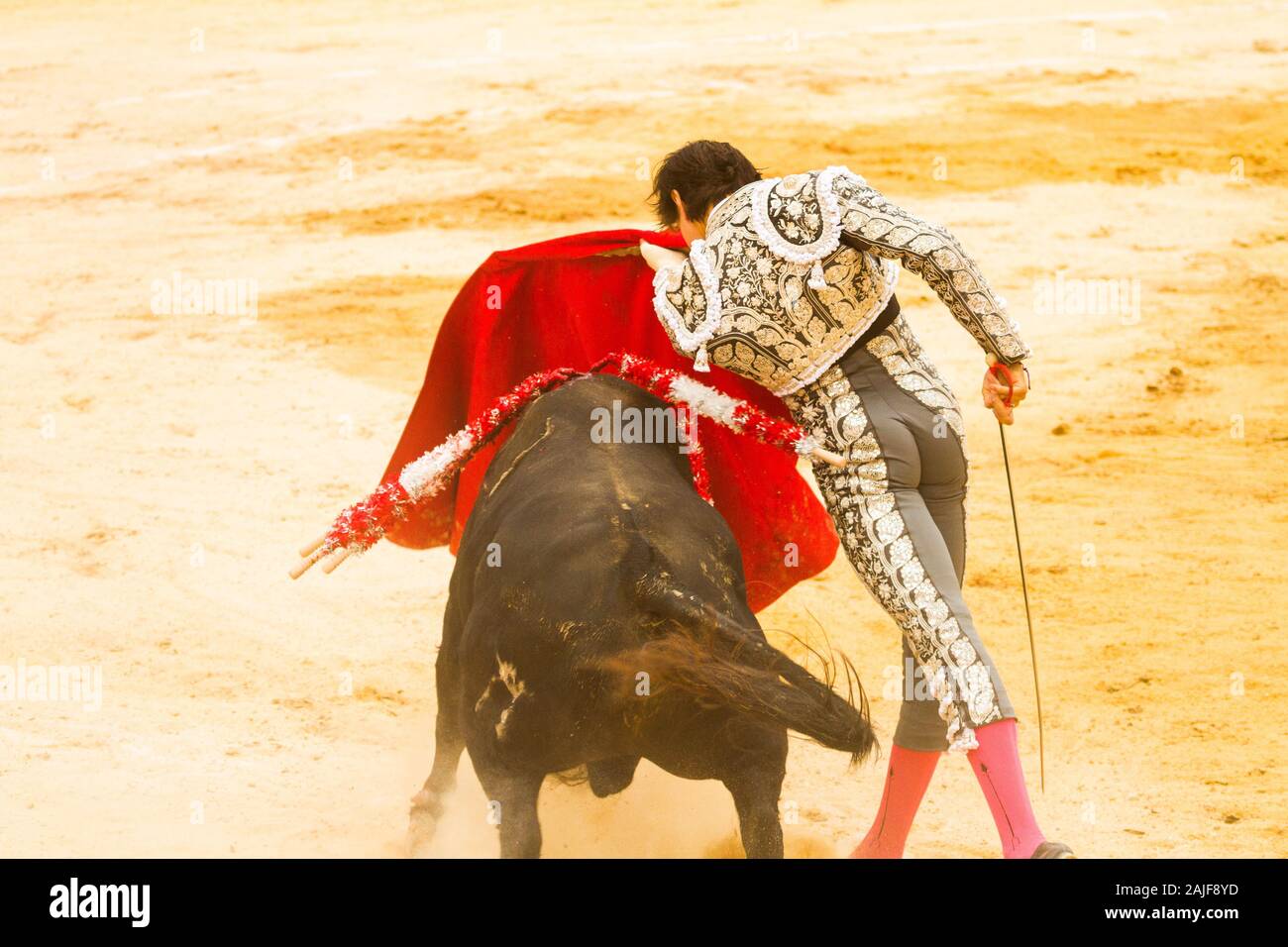 Bullfighting thing hi-res stock photography and images - Alamy