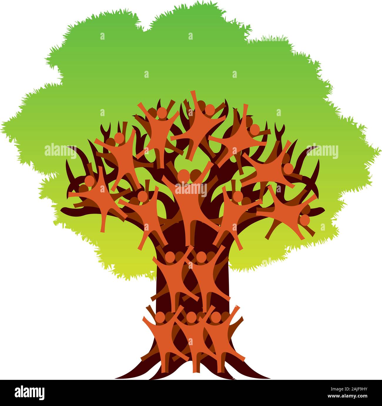 Human evolution tree hi-res stock photography and images - Alamy