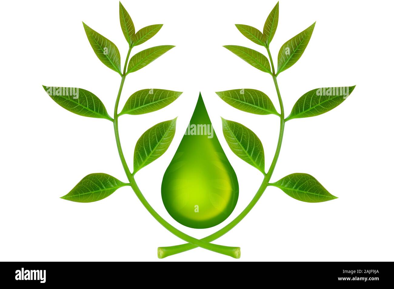 Plant for water side Cut Out Stock Images & Pictures - Alamy