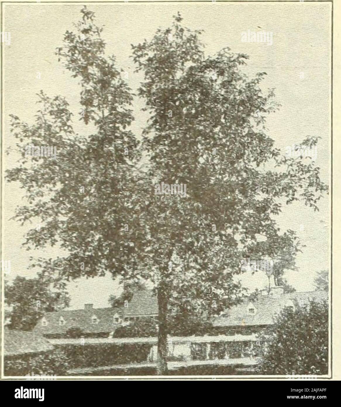 15 acre garden hi-res stock photography and images - Alamy