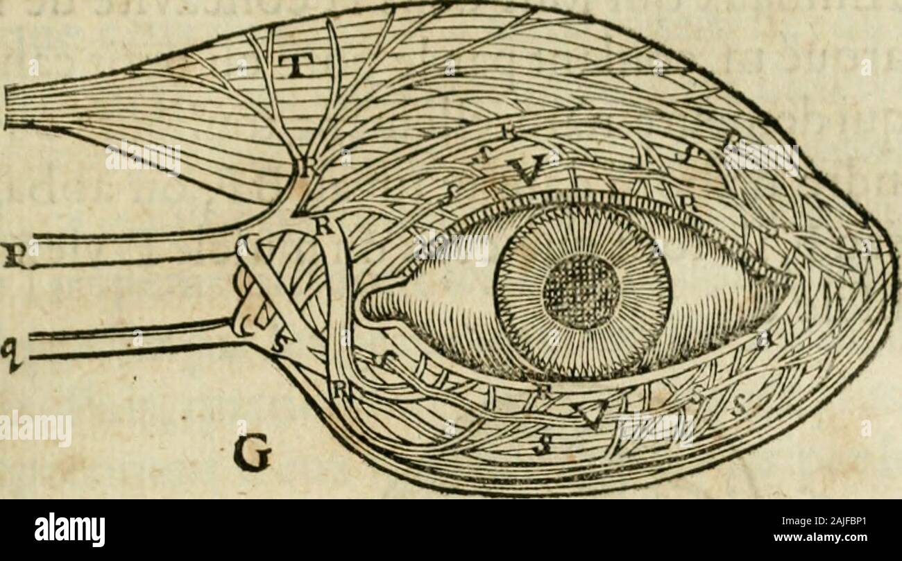 Cft font hi-res stock photography and images - Alamy