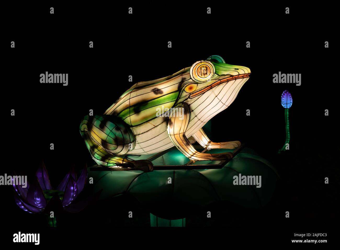 Big toad hi-res stock photography and images - Alamy