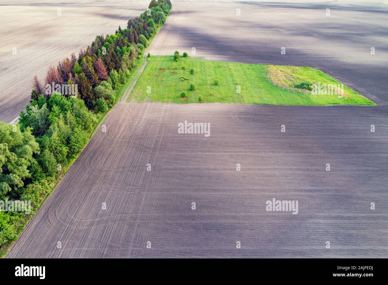 Aerial view agricultural field trees hi-res stock photography and ...