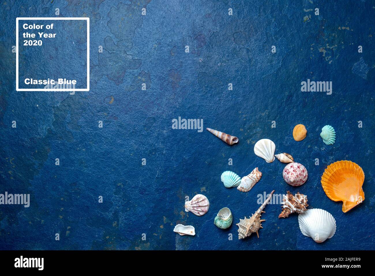 Trendy 2020 seafood blue classic background with sea shells. Color of ...