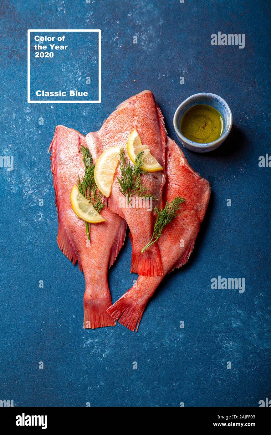 Fresh red sea bass on classic blue background. Coy2020. Color of year ...