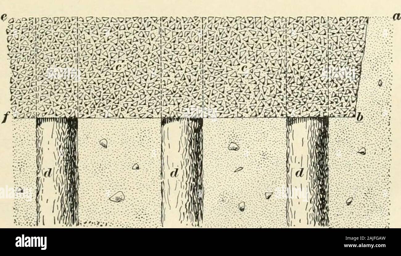 A treatise on architecture and building construction . Fig. ^. Fig. 25 ...