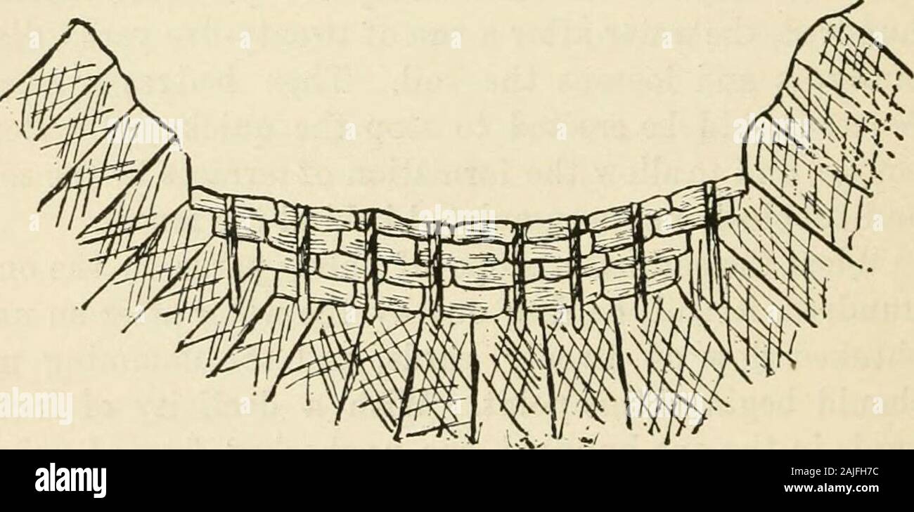 Fascines hi-res stock photography and images - Alamy