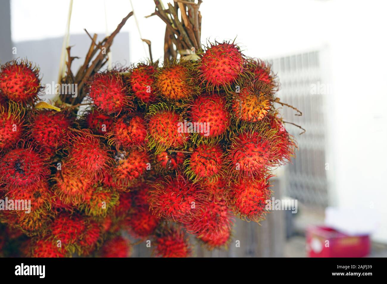 Bunches of spiky red rambutan at a street market in Malaysia Stock ...