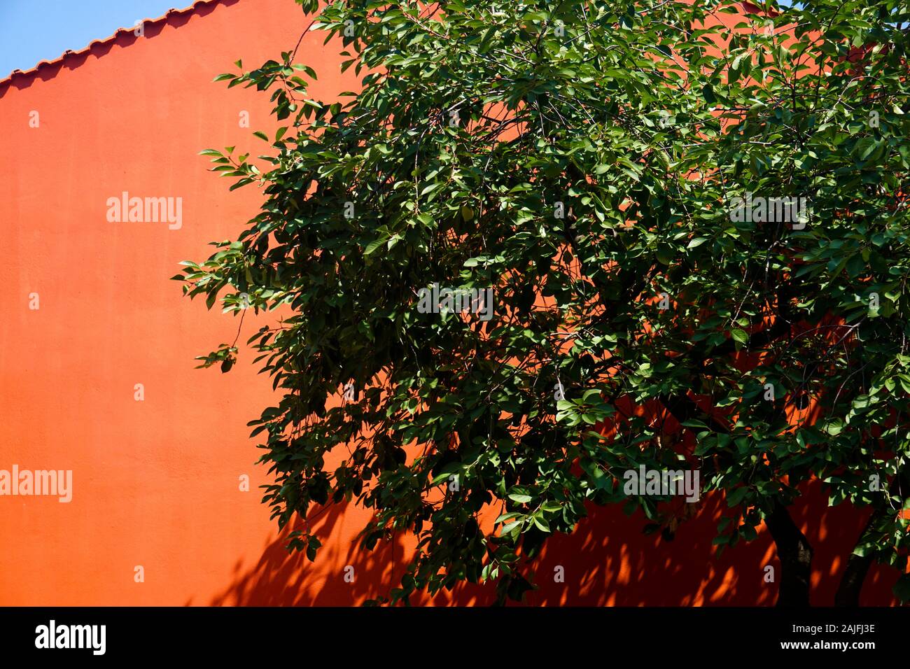 Complementary colors garden hi-res stock photography and images - Alamy