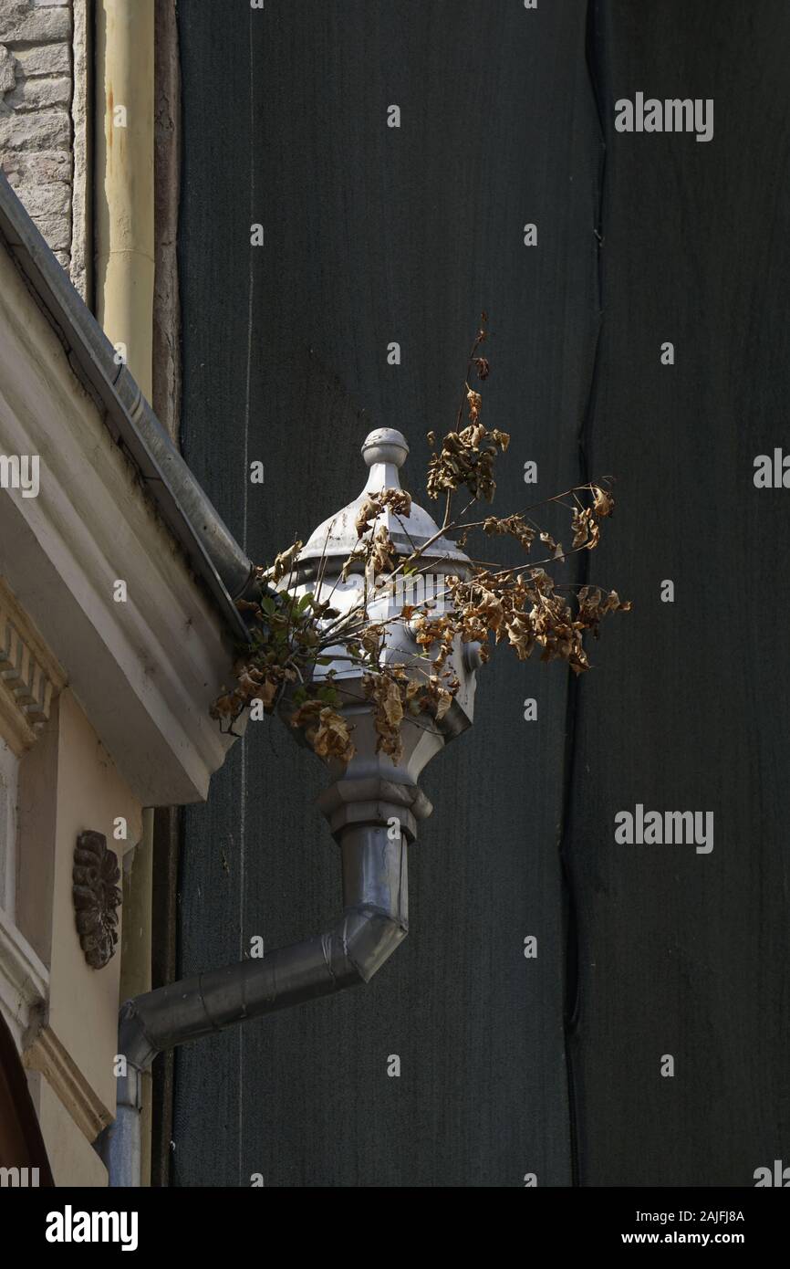 Architectural details of a roof with tin pipes and protection net for ...