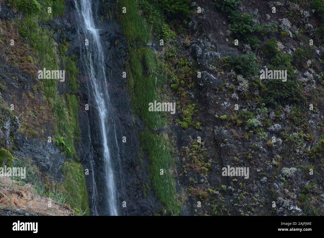 Levada visit hi-res stock photography and images - Alamy