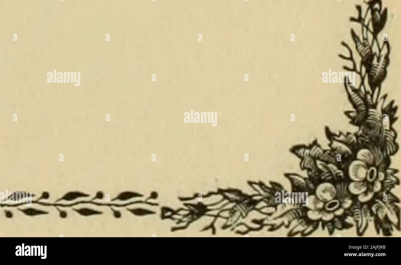 Dove laurel leaves hi-res stock photography and images - Alamy