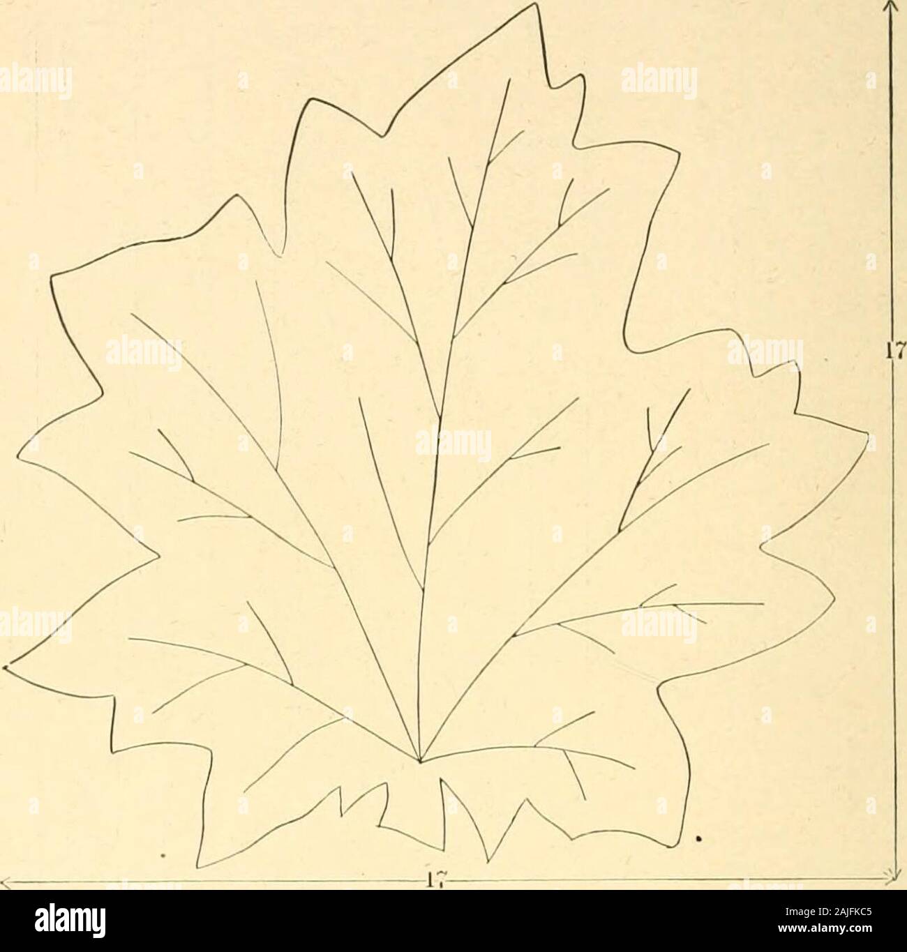 The sloyd system of wood working, with a brief description of the Eva ...