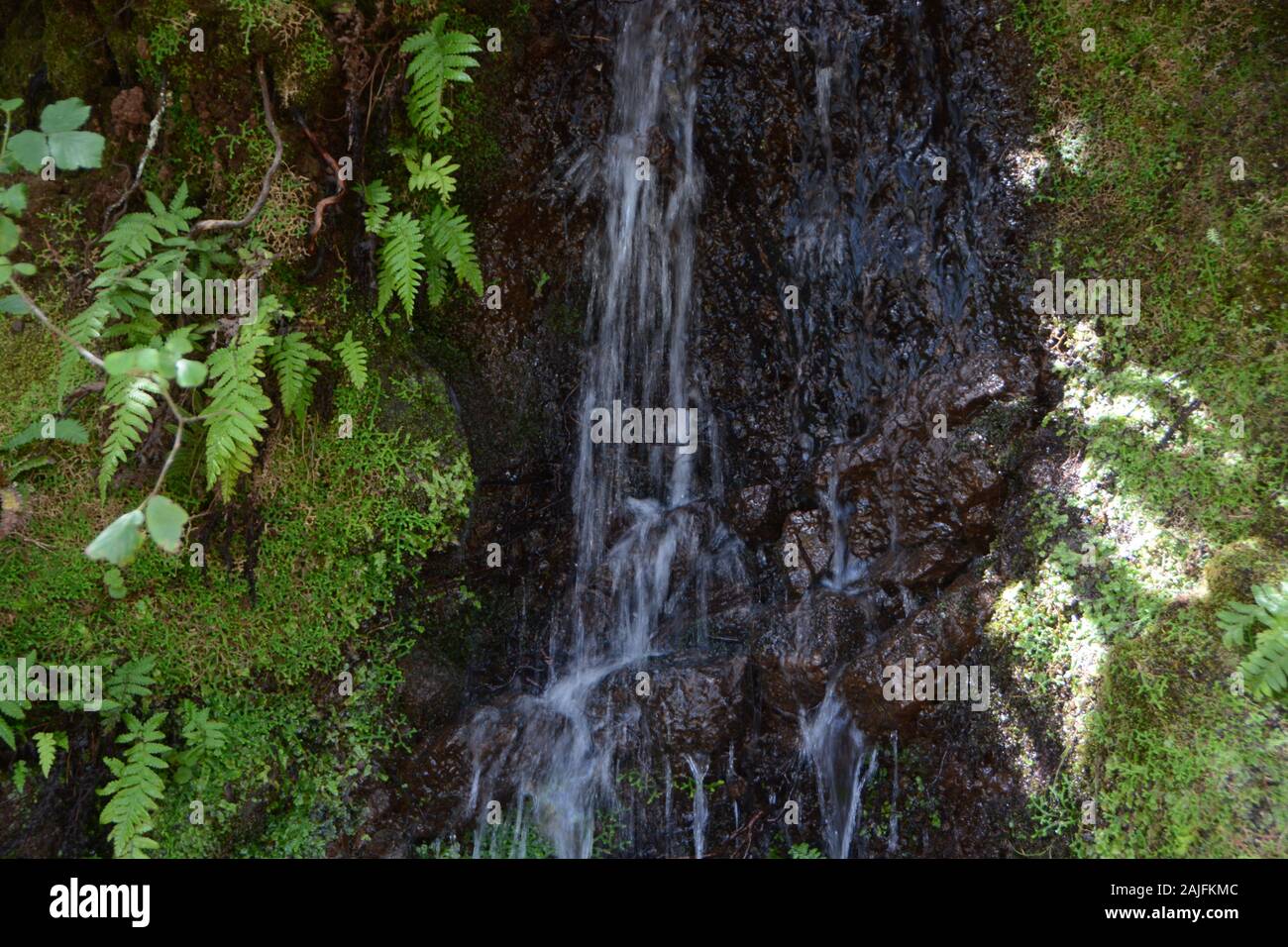 waterfalls and levadas of Madeira, Portugal Stock Photo - Alamy