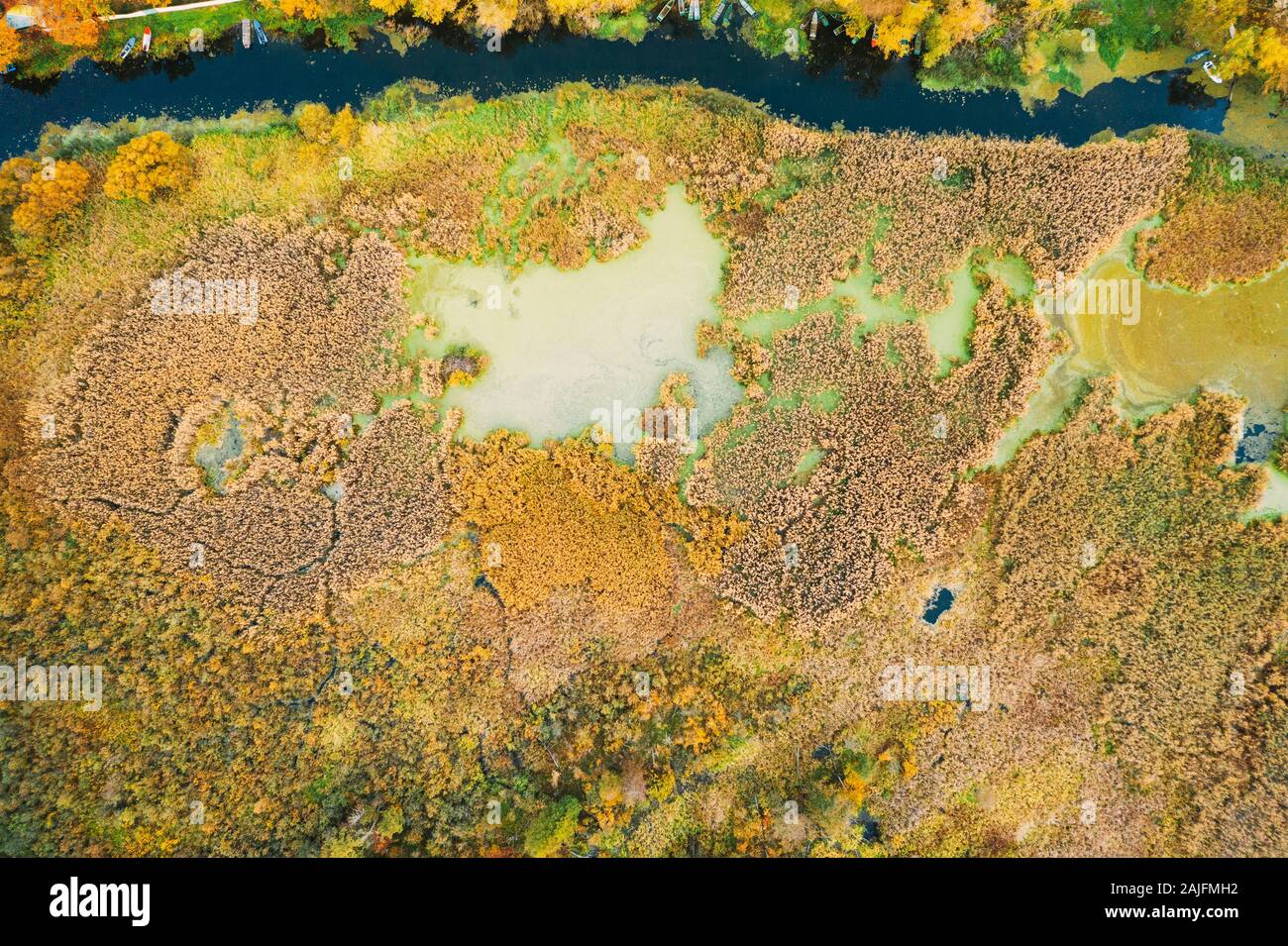 Aerial View Of Green Grass Landscape. Top View From High Attitude In ...