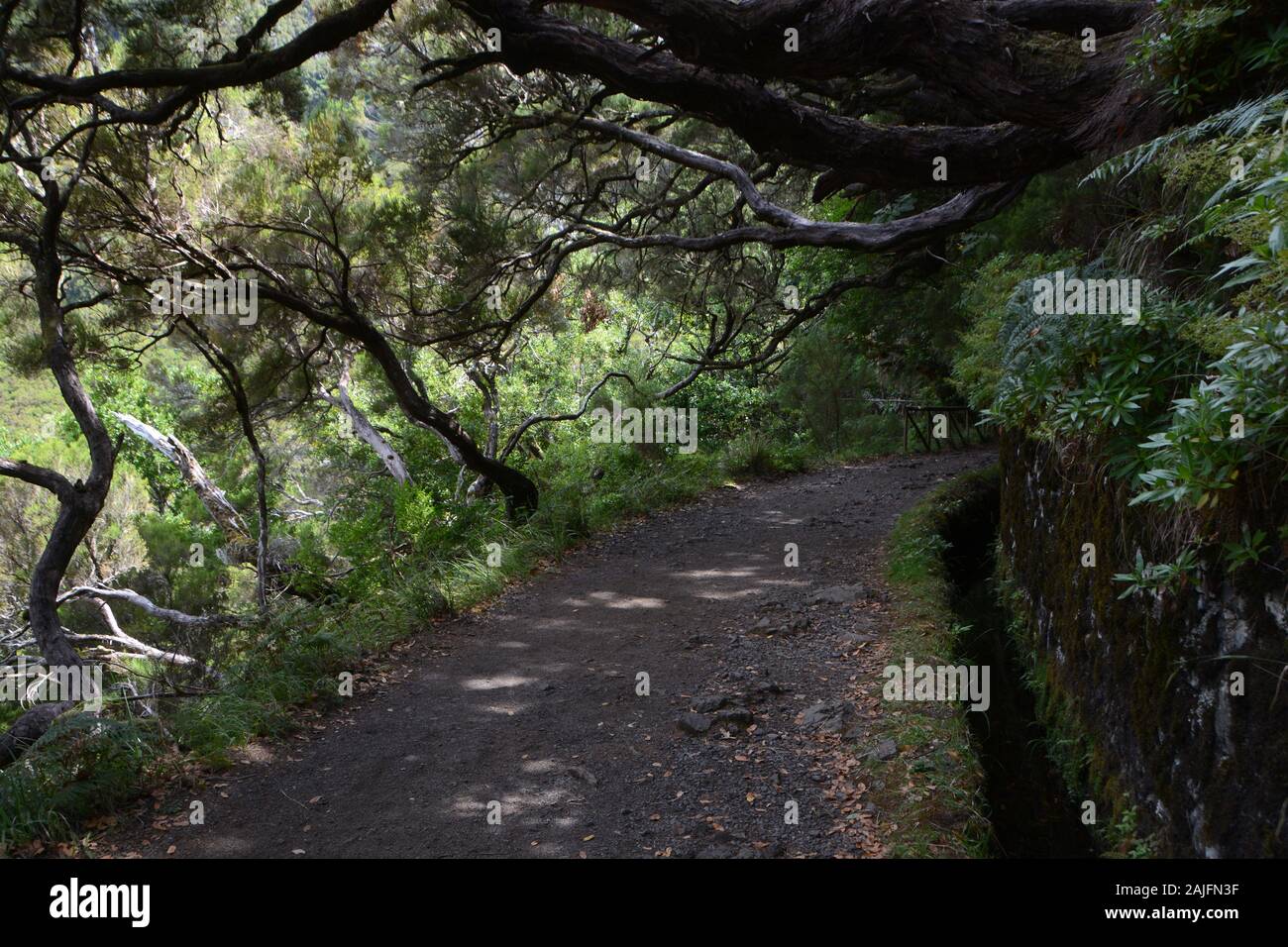 waterfalls and levadas of Madeira, Portugal Stock Photo - Alamy