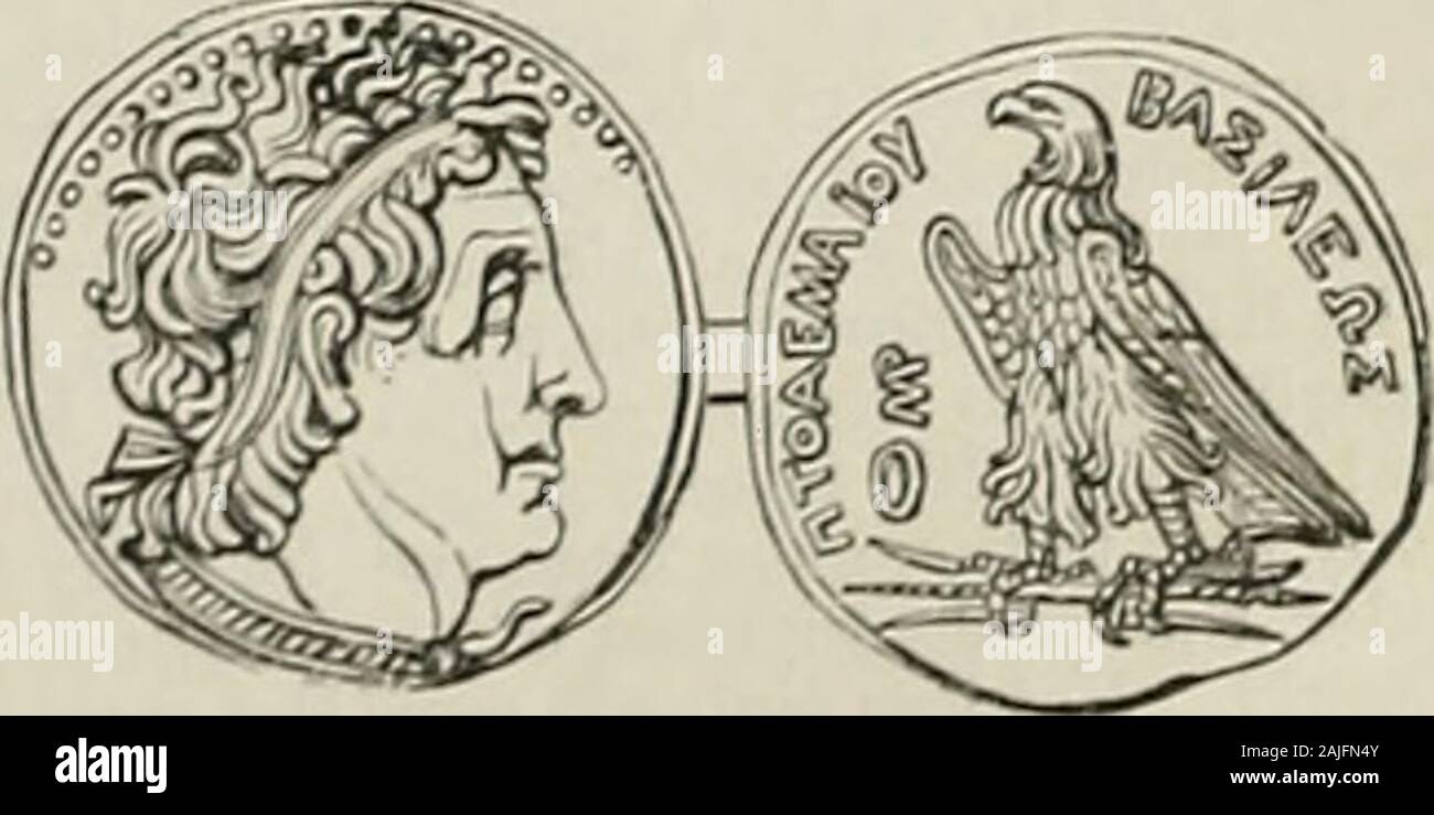 Plot division hi-res stock photography and images - Alamy