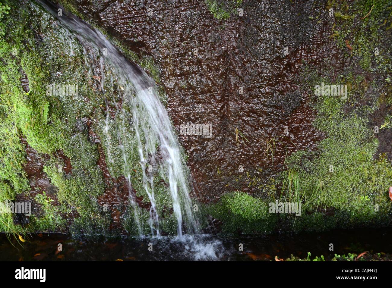waterfalls and levadas of Madeira, Portugal Stock Photo - Alamy