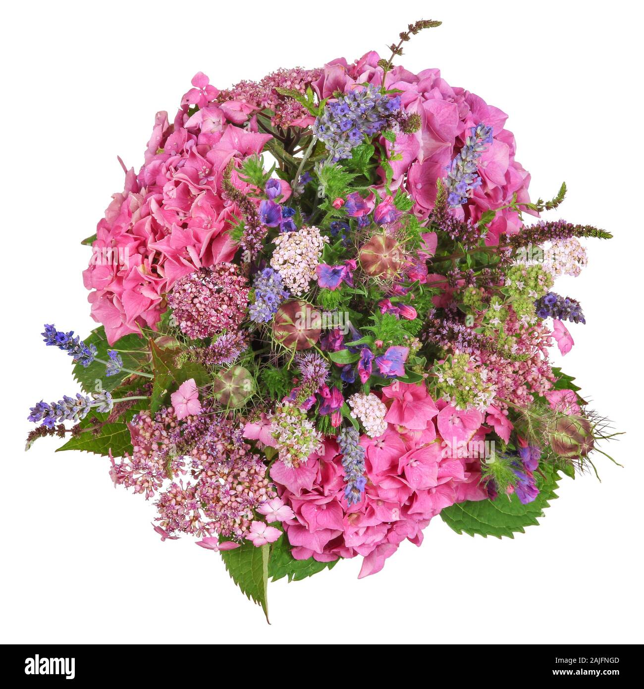 Violet hydrangea pink rose flowers hi-res stock photography and images ...