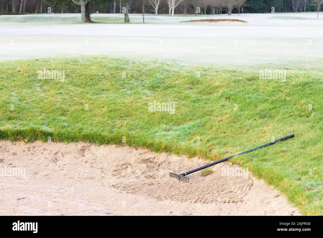 Rake in sand bunker at golf links course green for golfers Stock Photo ...