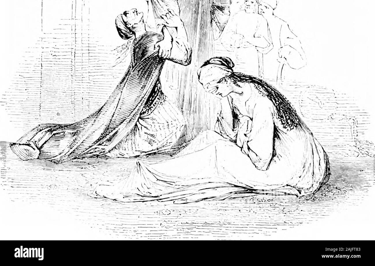 Arabian damsel hi-res stock photography and images - Alamy