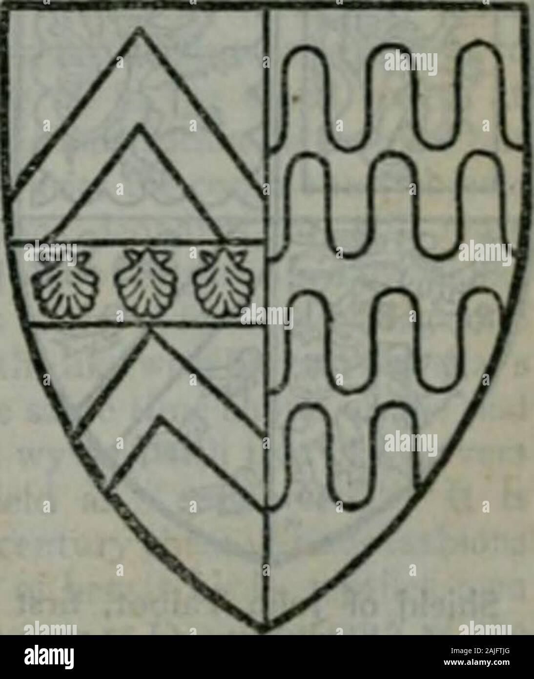 Dimidiated hi-res stock photography and images - Alamy