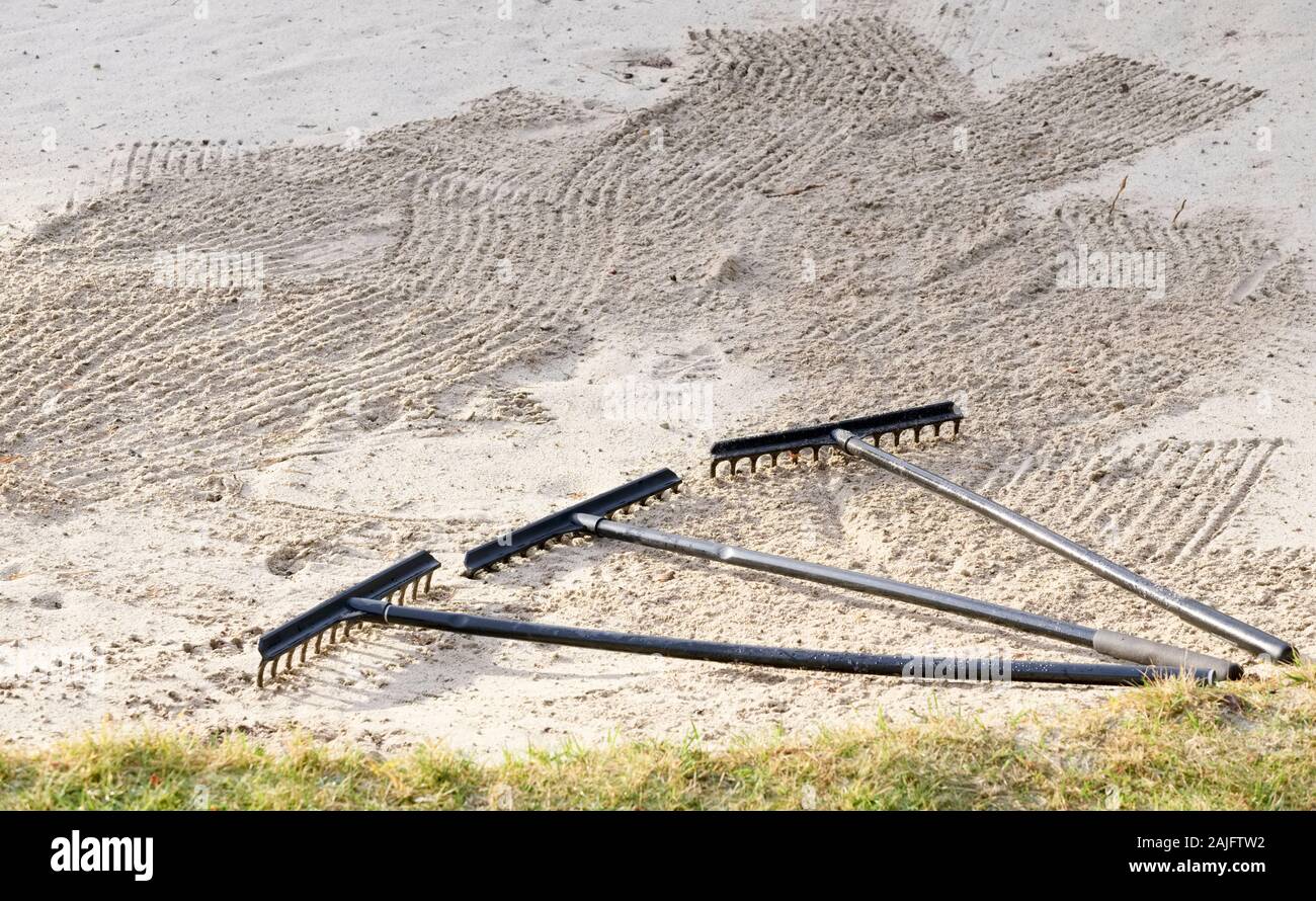 Rake in sand bunker at golf links course green for golfers Stock Photo ...