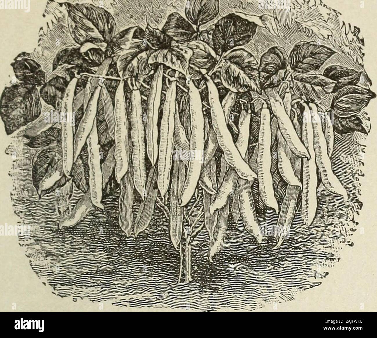 Rustand hi-res stock photography and images - Alamy