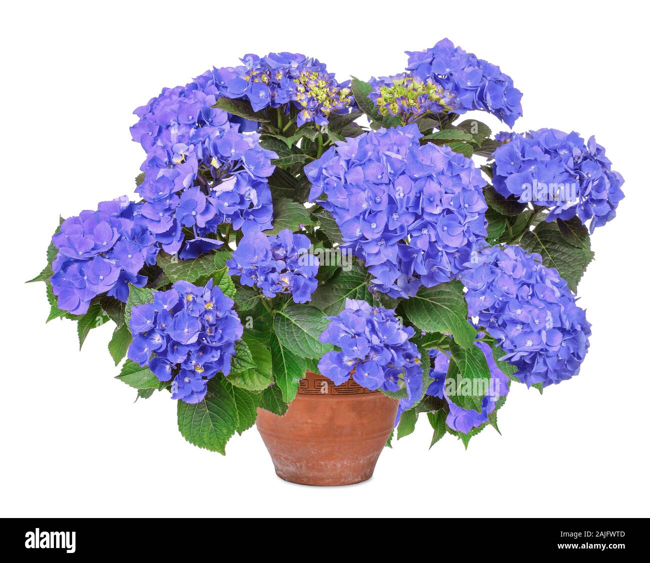 Autumn blue Cut Out Stock Images & Pictures - Alamy