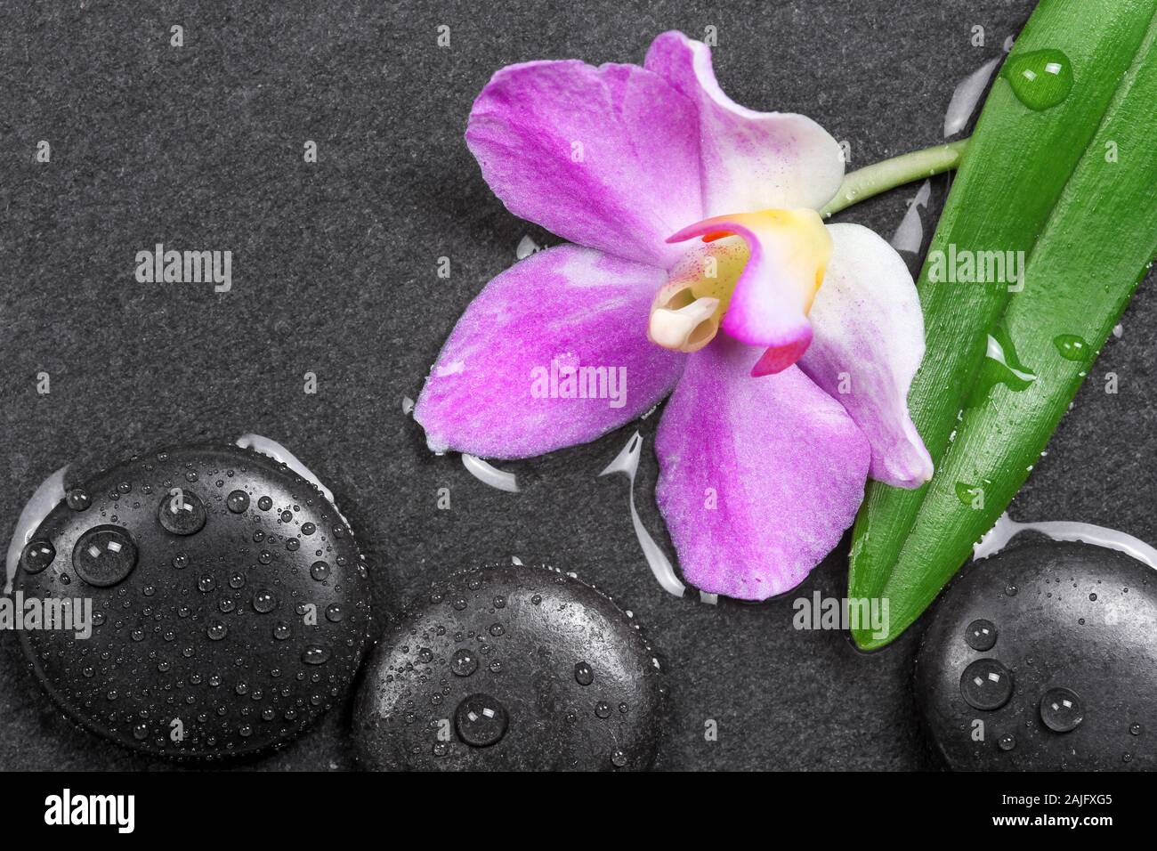 Orchid stone hi-res stock photography and images - Alamy