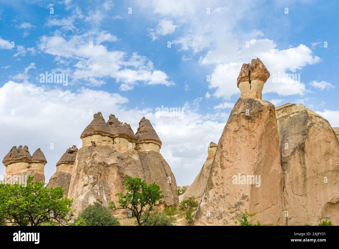 A row of fairy chimney rock formations in Devrent Valley (Imagination ...